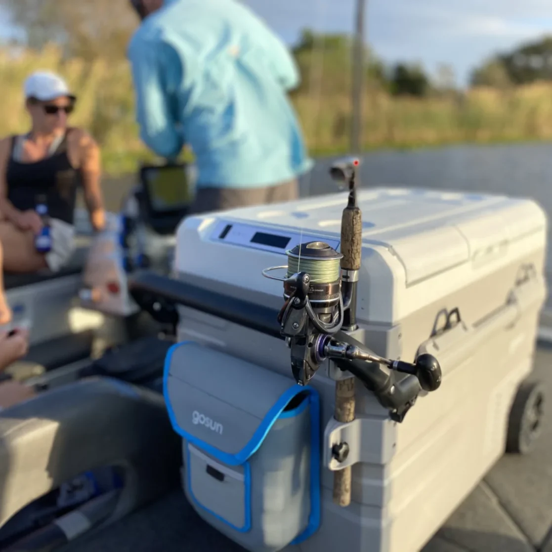 GoSun made a cooler that may just make you the chillest cat on the ...