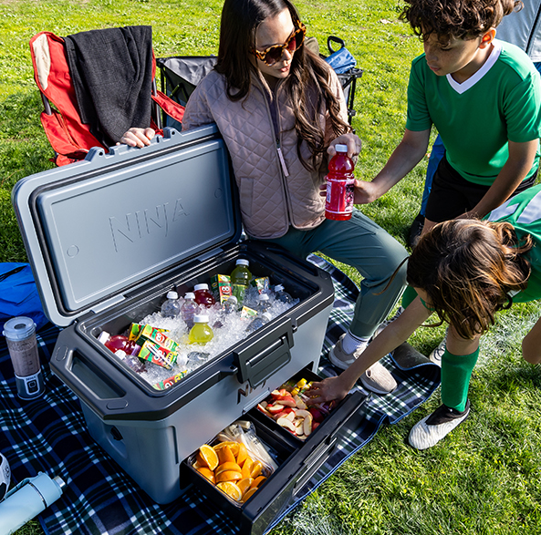 New Ninja FrostVault Cooler impresses with fridge-temp dry storage ...