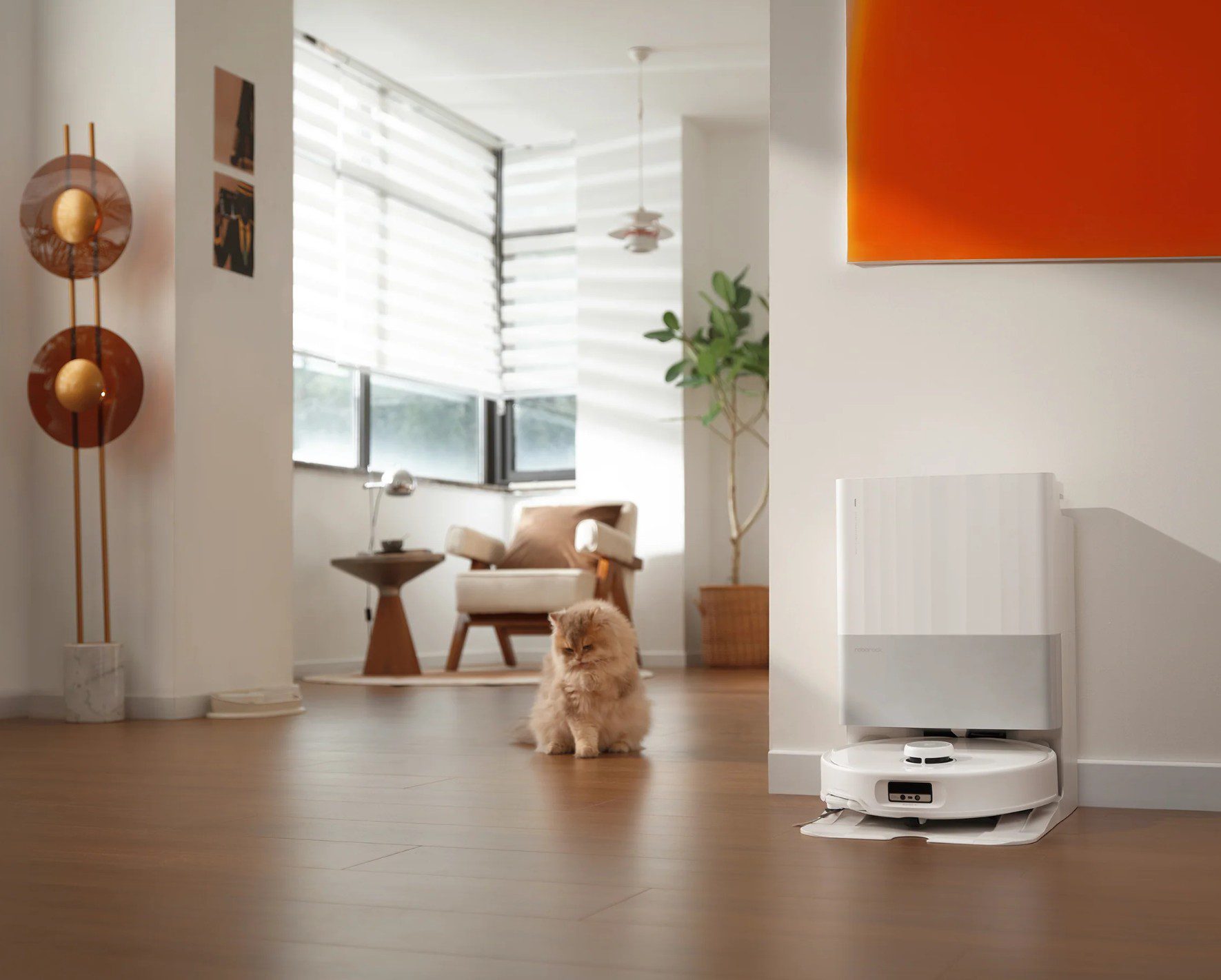 Roborock Qrevo Edge Review: A carefree revolution in home cleaning ...